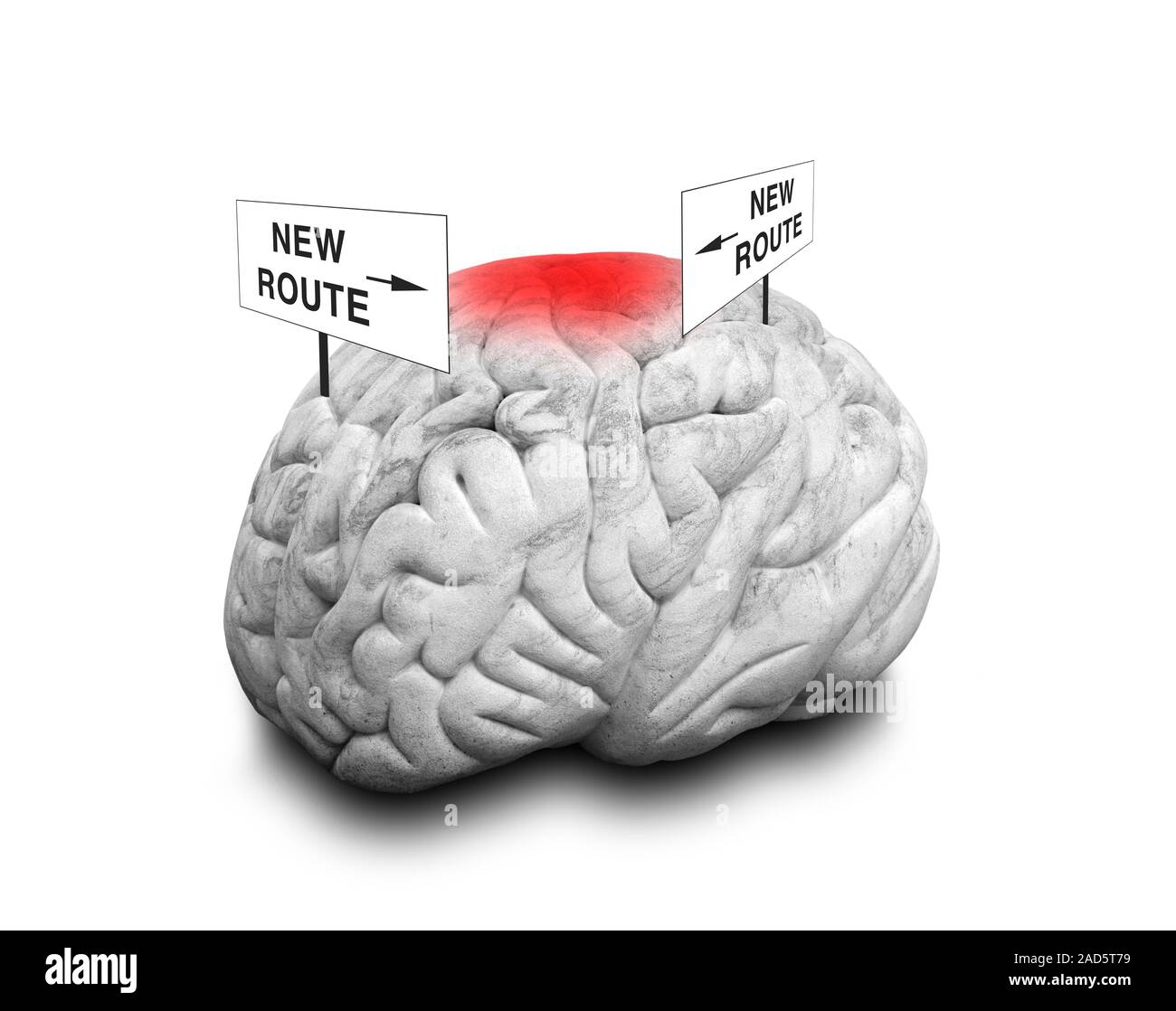 Brain plasticity. Conceptual image of a human brain with signs ...