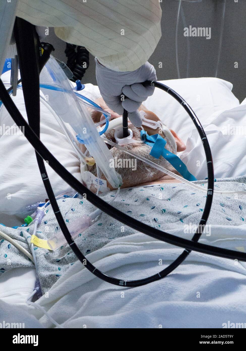 Investigative endoscopy. Gastroenterologist performing a bedside ...