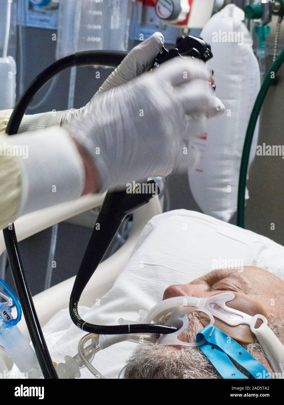 Investigative endoscopy. Gastroenterologist performing a bedside ...