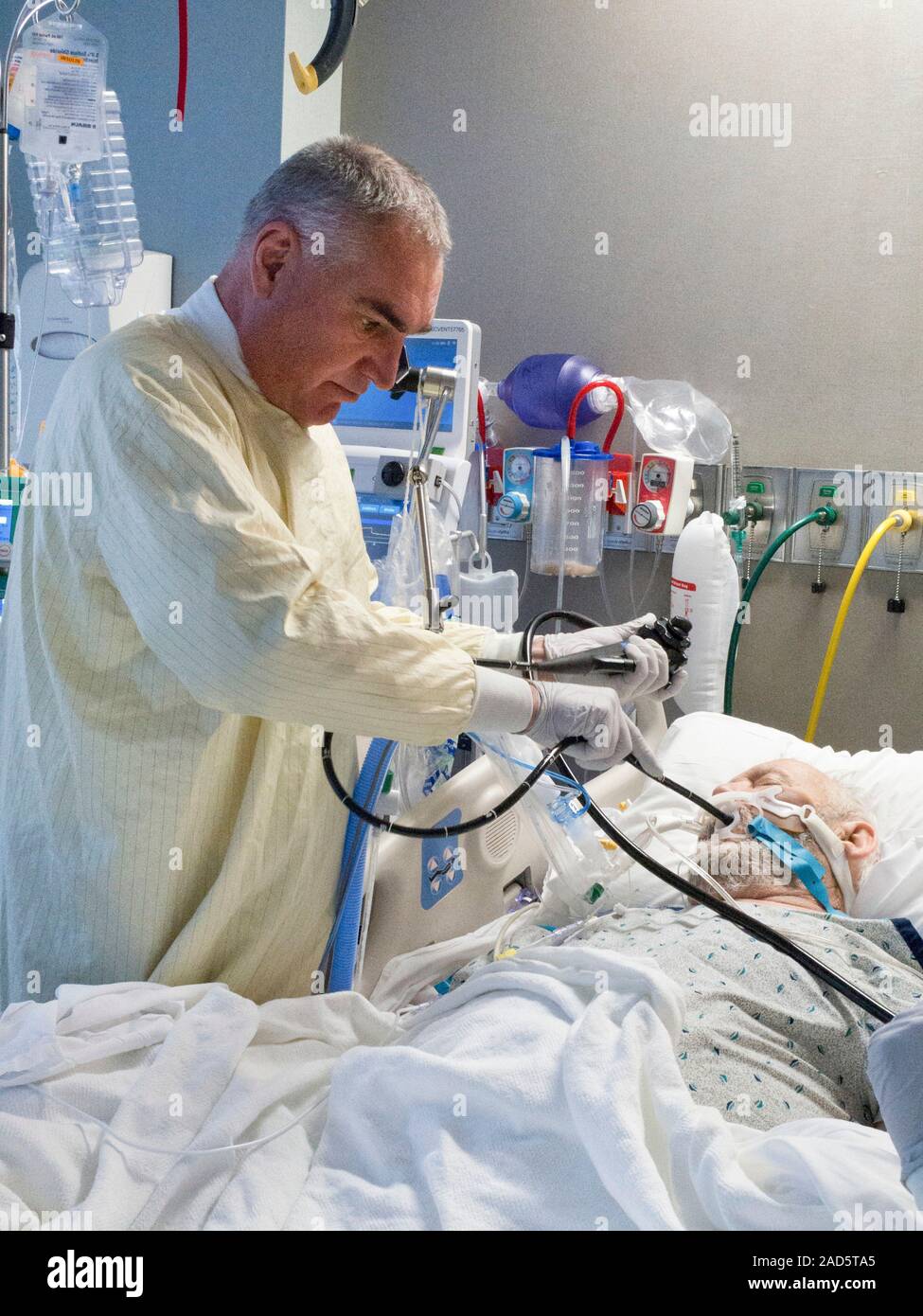 Investigative endoscopy. Gastroenterologist performing a bedside ...