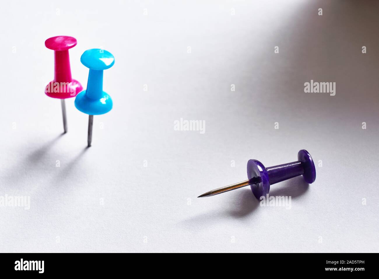 Purple Push Pin
