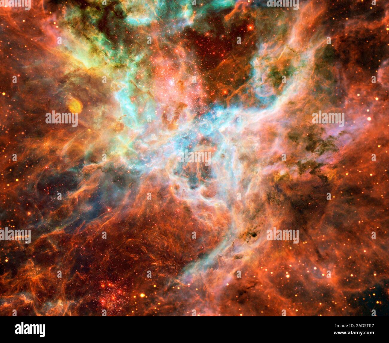 Hubble Space Telescope (HST) image of the centre of the Tarantula nebula. The Tarantula nebula ...