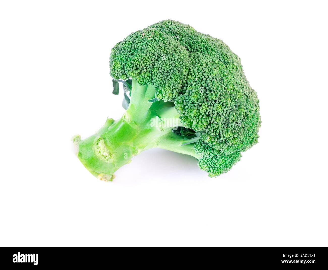 head of broccoli isolated on white background Stock Photo - Alamy