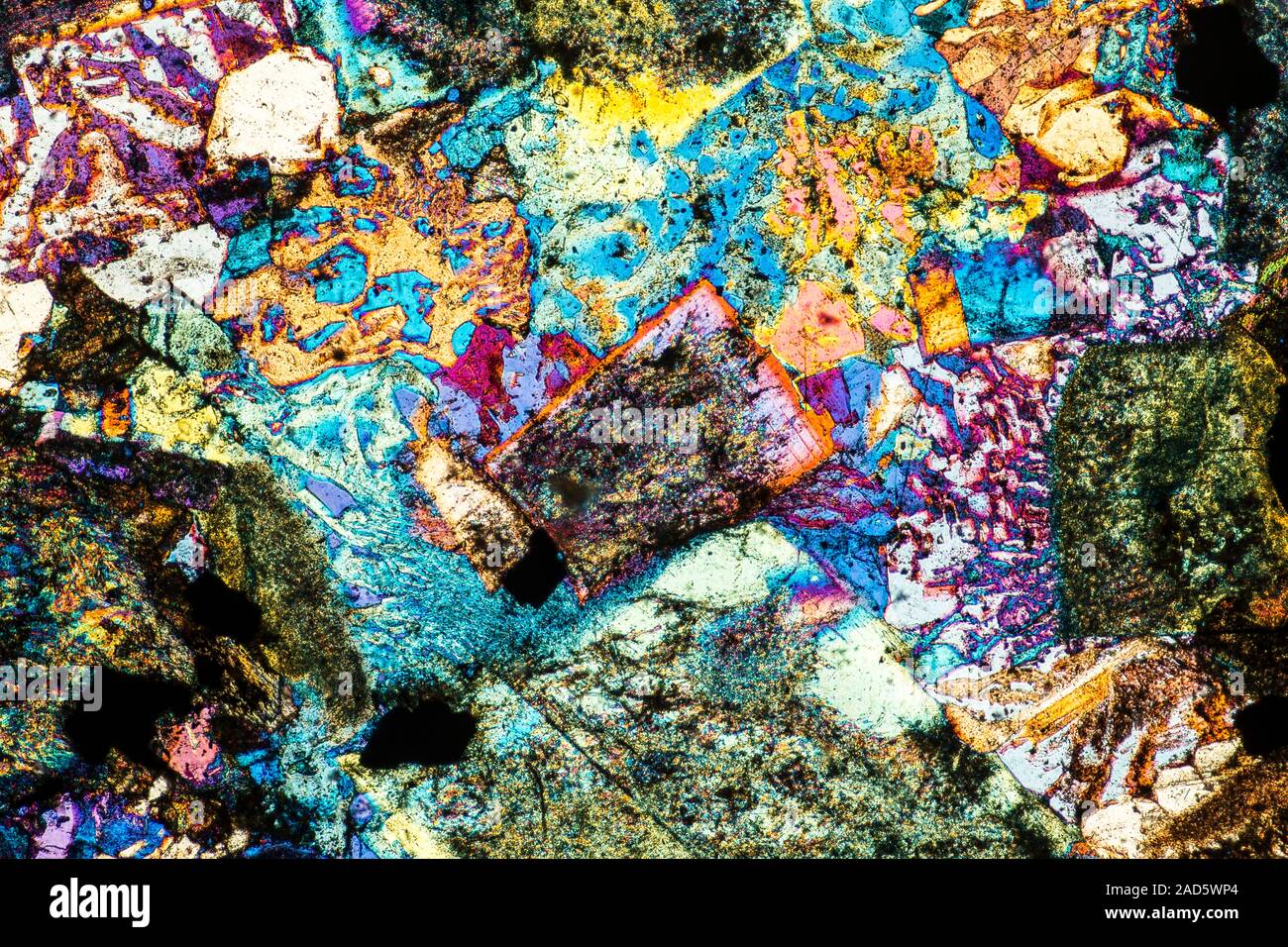 Polarised light micrograph of a thin section of syenite, a coarse-grained igneous rock ...