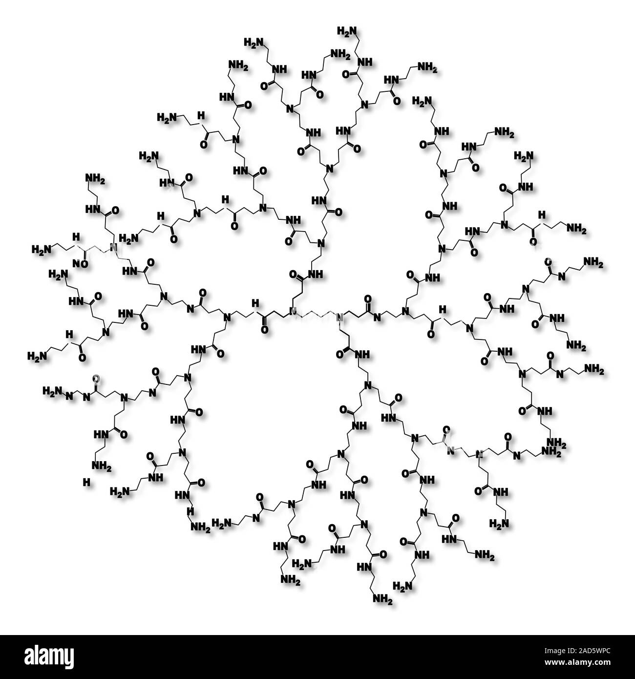 Dendrimer, molecular structure of a G3 PAMAM dendrimer. Dendrimers are ...