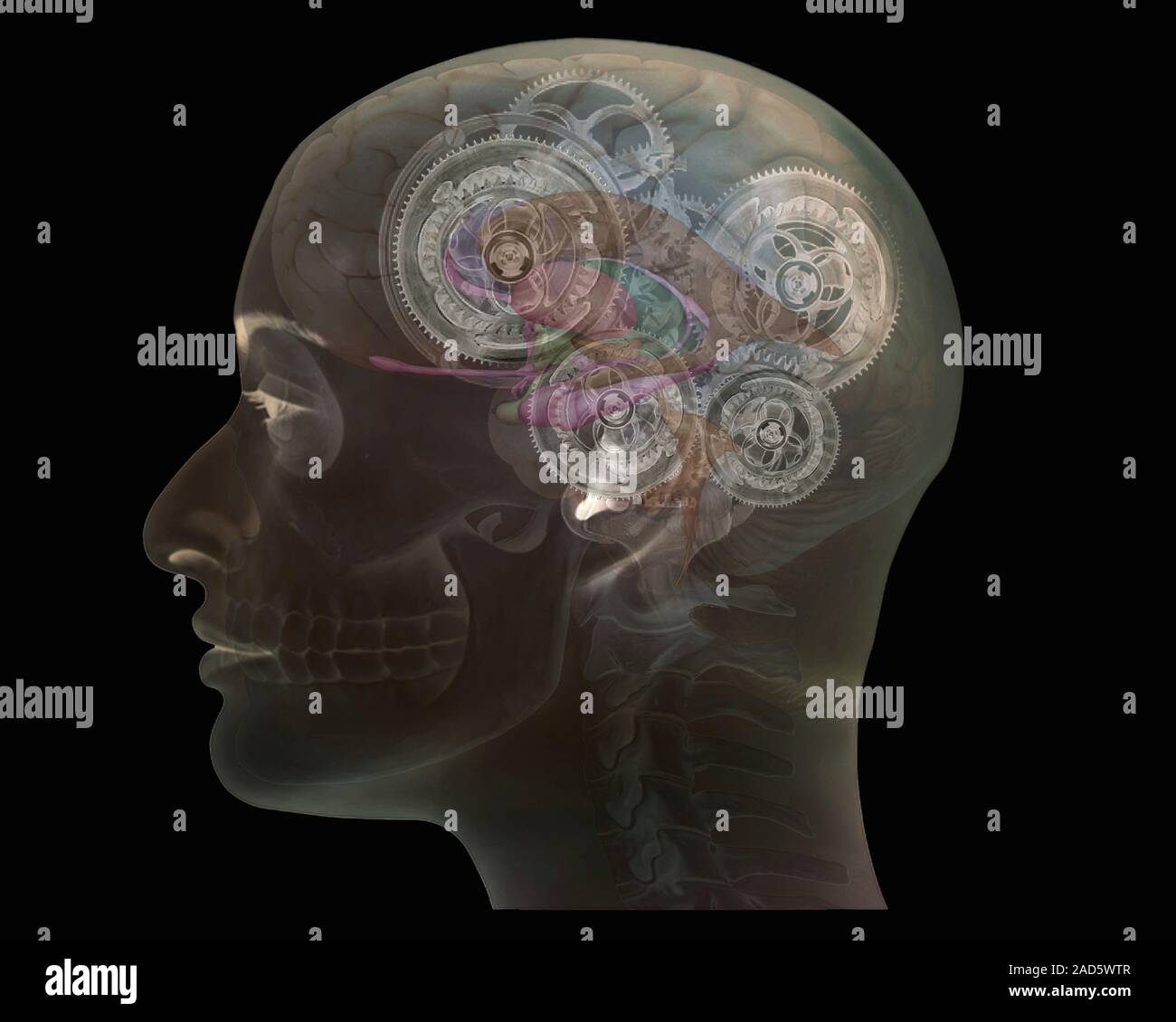 Mechanical brain, conceptual image. Composite image of coloured medical ...