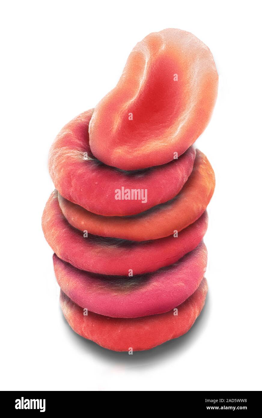 Red blood cells in the Rouleau formation, coloured scanning electron ...