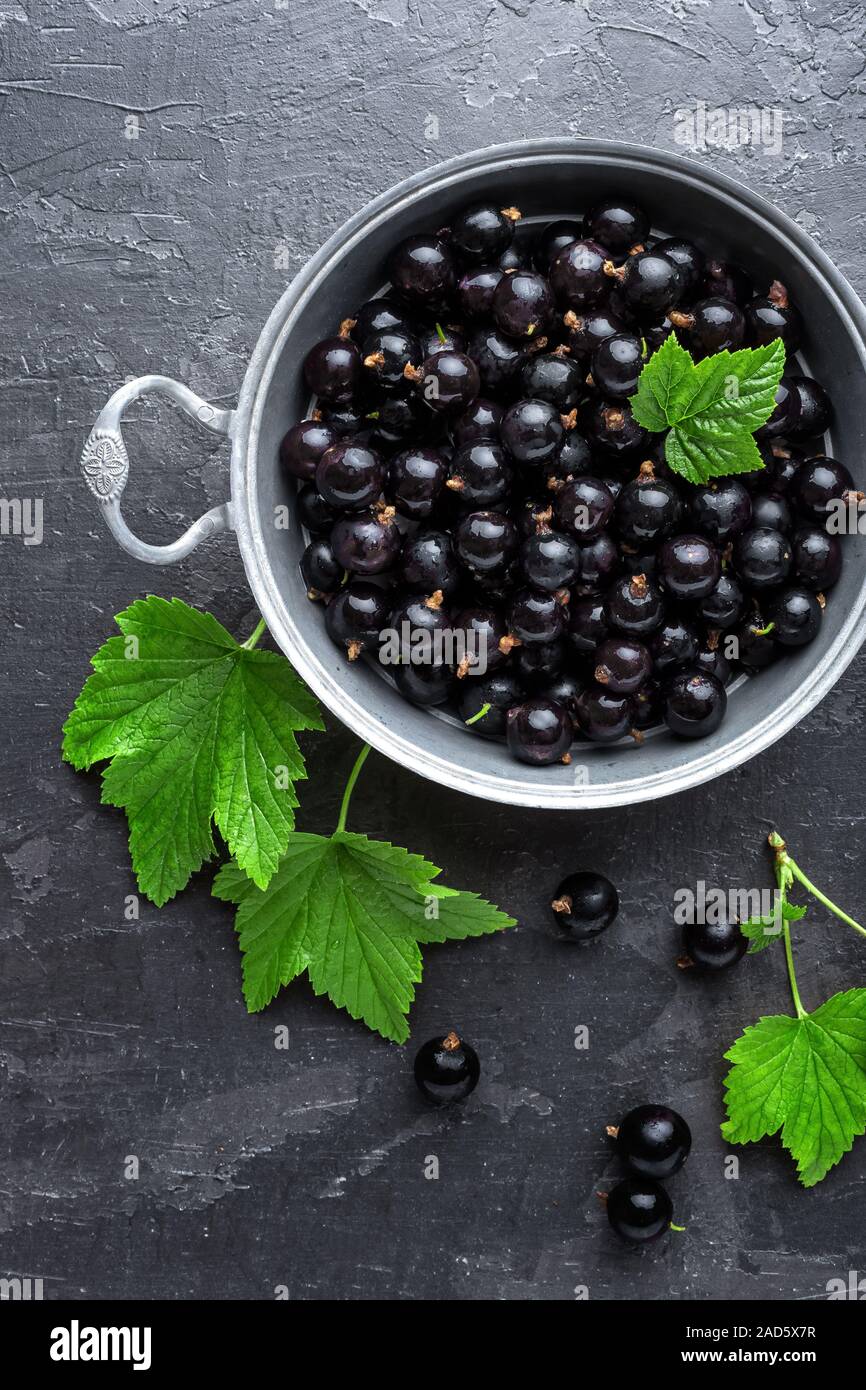 Blackcurrant berries with leaves, black currant Stock Photo - Alamy