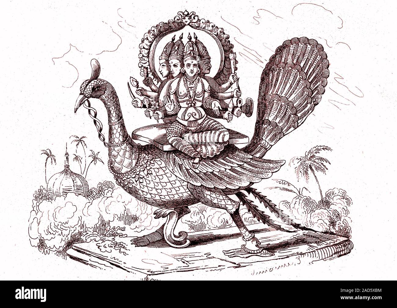 Kartikeya, Hindu deity. 1884 illustration of the Hindu god of war and ...