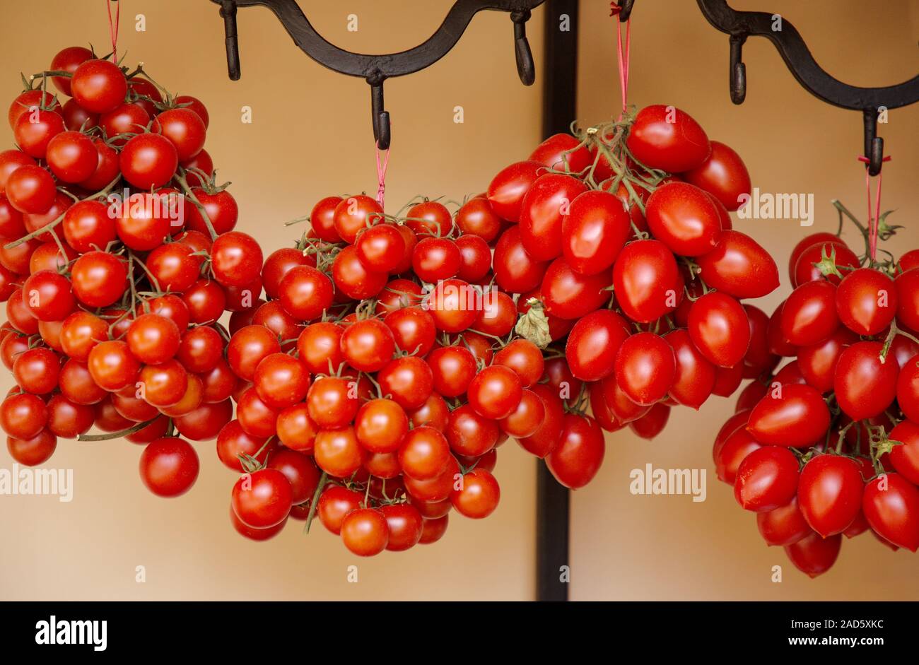 tomato hanging up on a market stall Stock Photo - Alamy