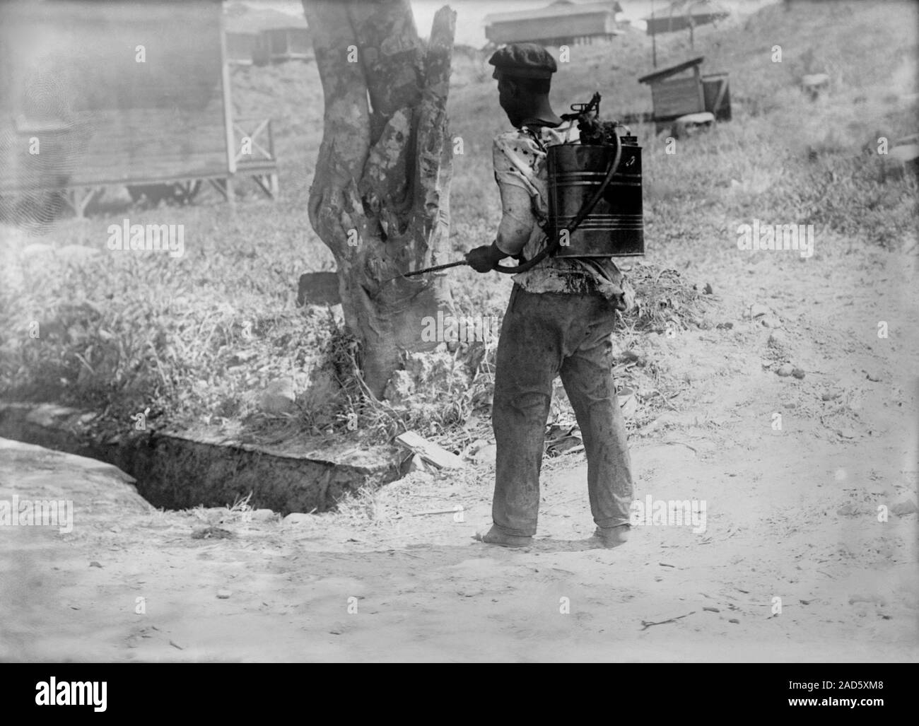 Pest control in Panama. Man spraying a ditch with oil to prevent ...