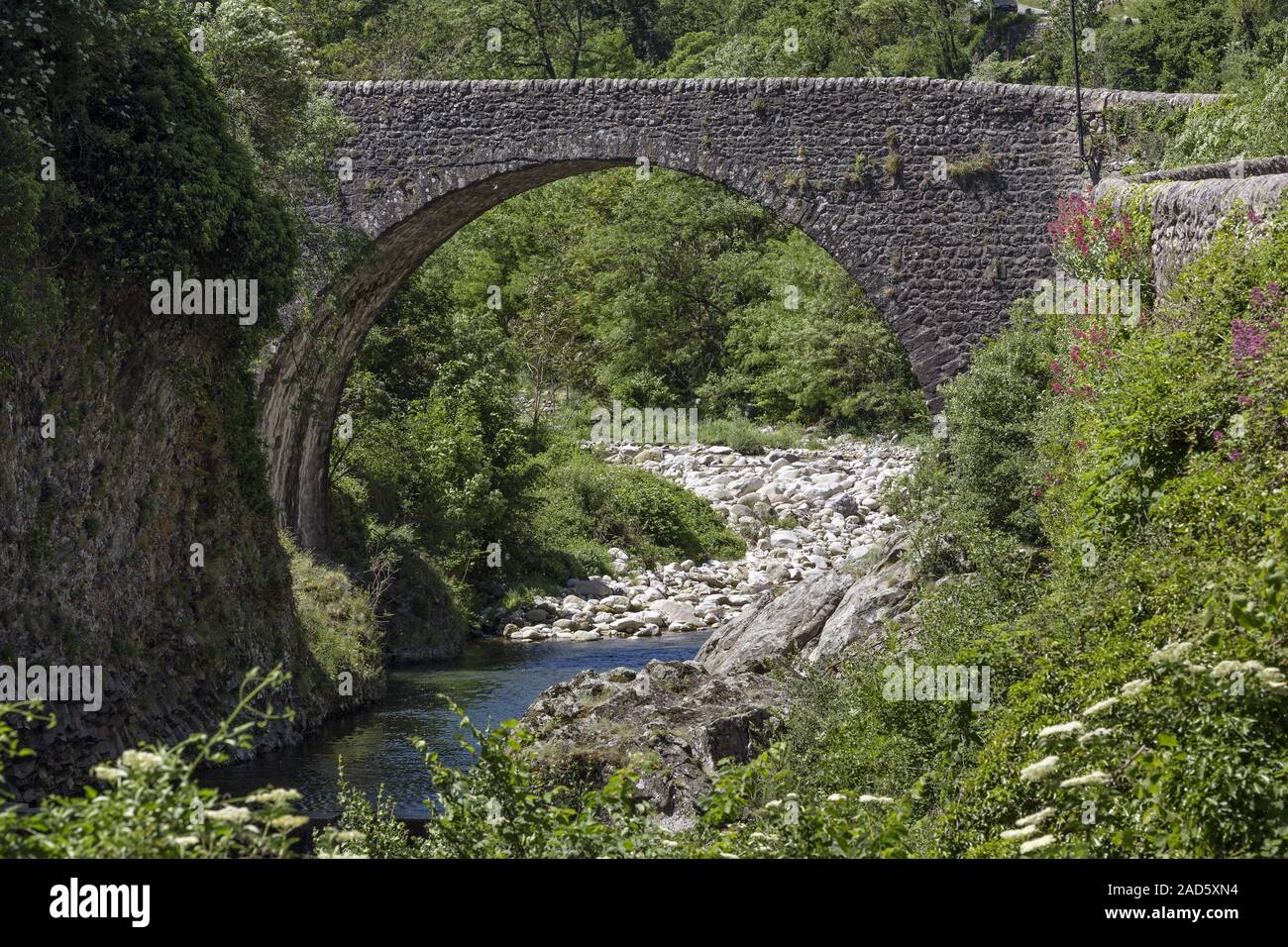 Old stone bridge over a small river in southern France Stock Photo - Alamy