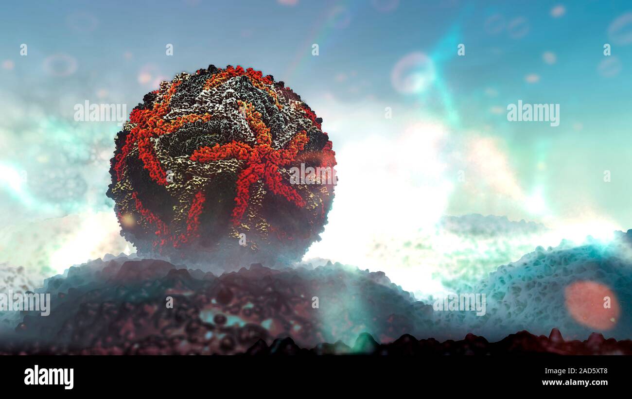 Zika virus envelope, molecular model. This is an RNA (ribonucleic acid ...