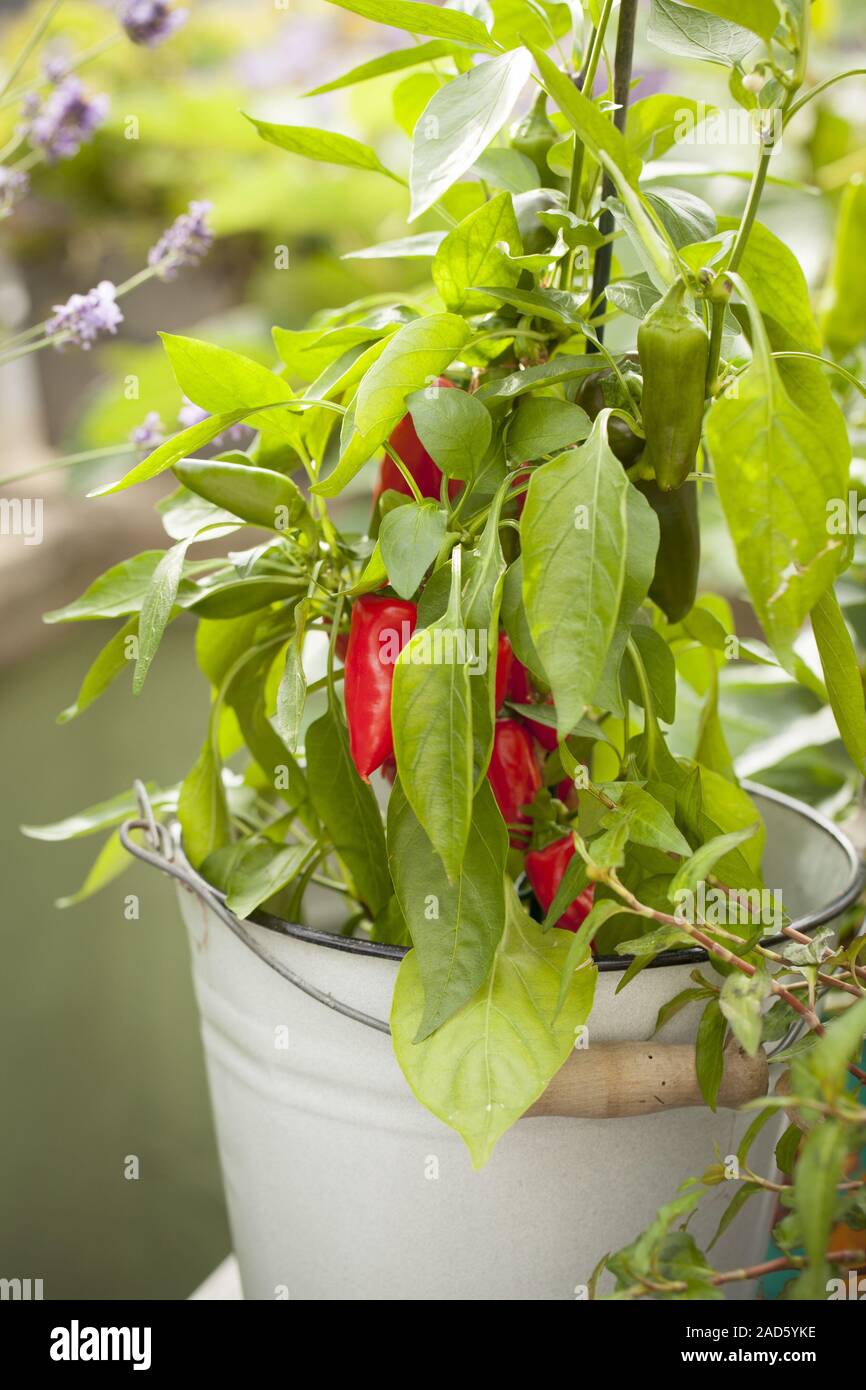 Irish balcony hi-res stock photography and images - Alamy