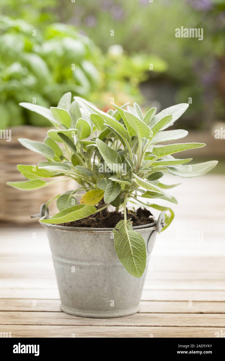 Irish balcony hi-res stock photography and images - Alamy