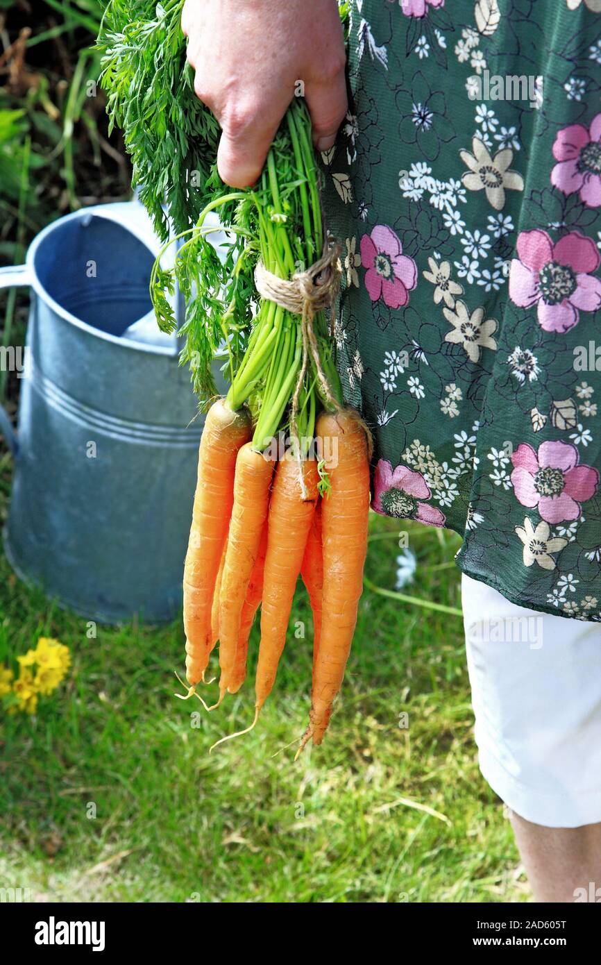 Carots hi-res stock photography and images - Alamy