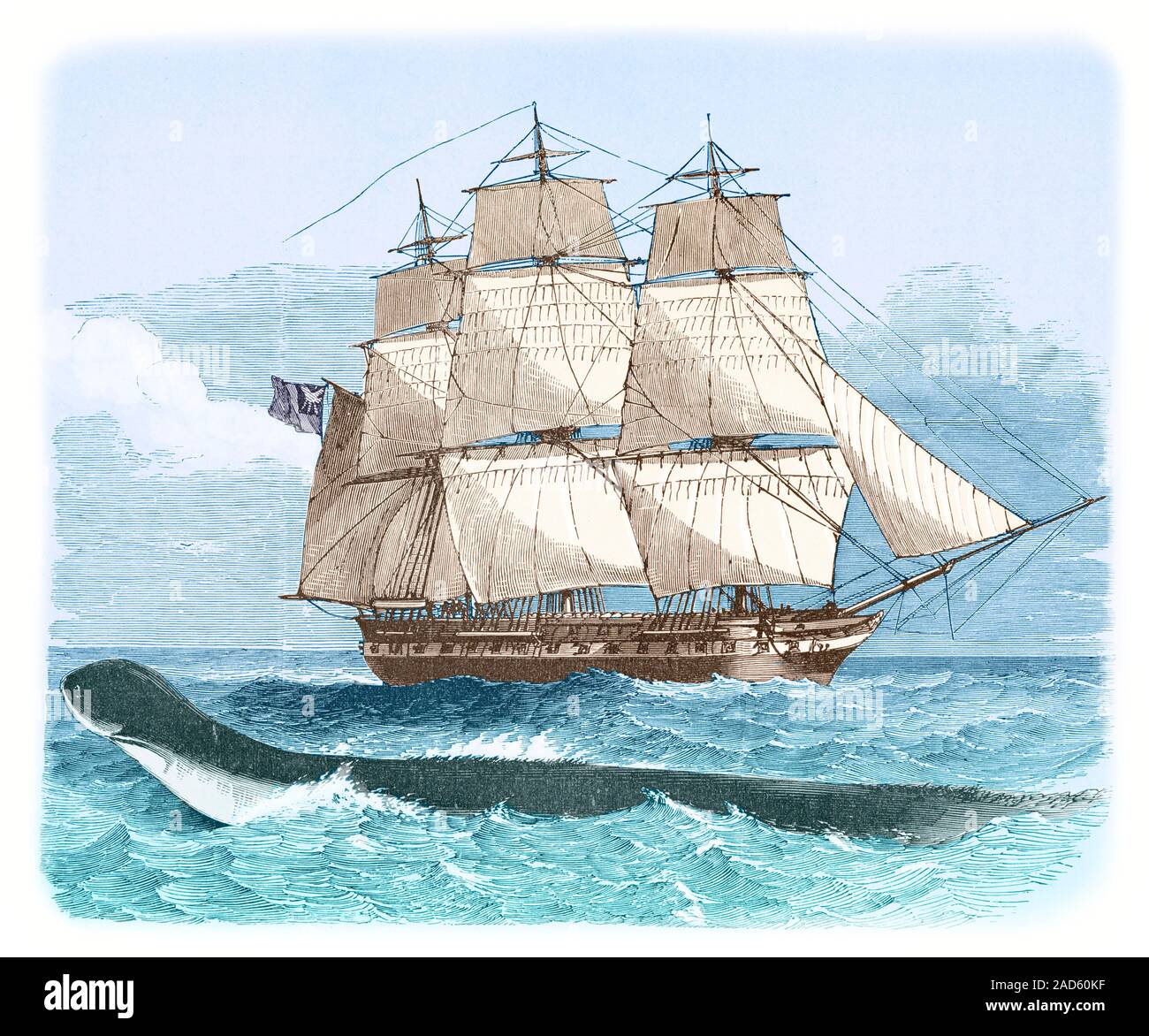 HMS Daedalus and the Great Serpent. HMS Daedalus was a 32-gun fifth ...