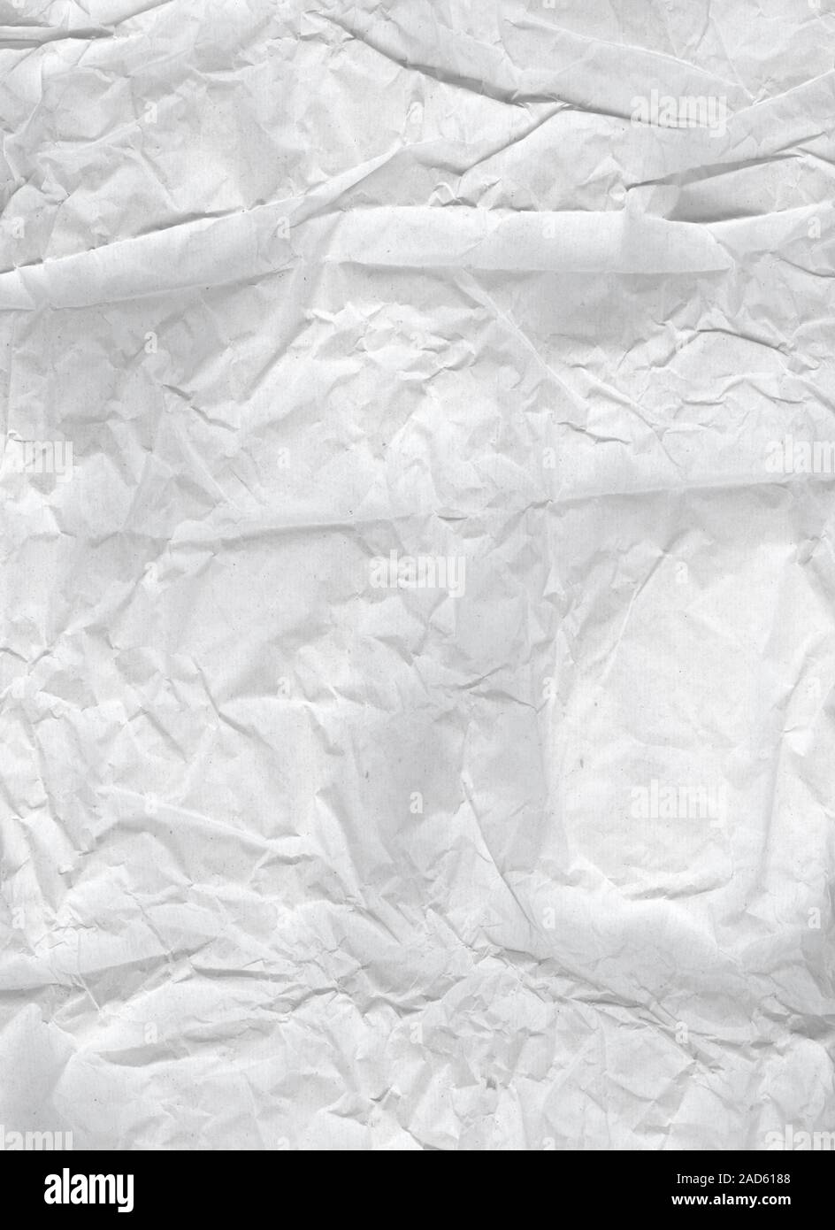 Wrinkled Piece Of Paper