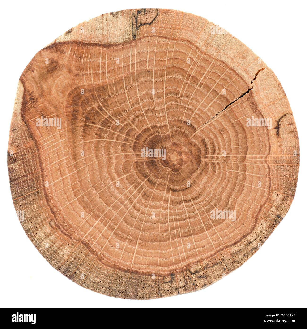 Circular slab hi-res stock photography and images - Alamy