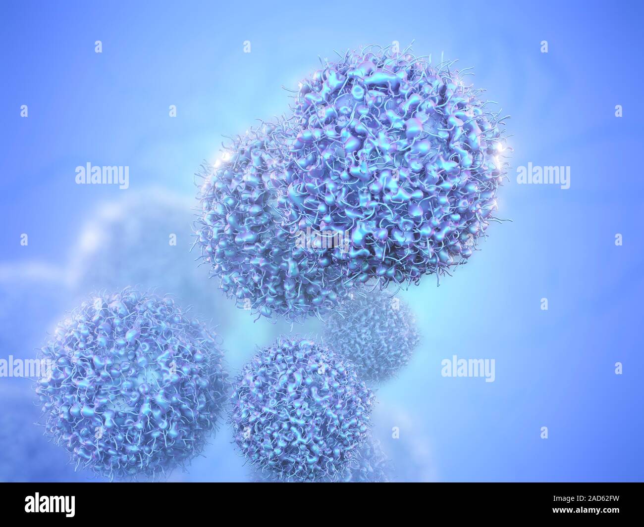 Cancer cells, illustration. Cancerous (malignant) cells divide rapidly ...