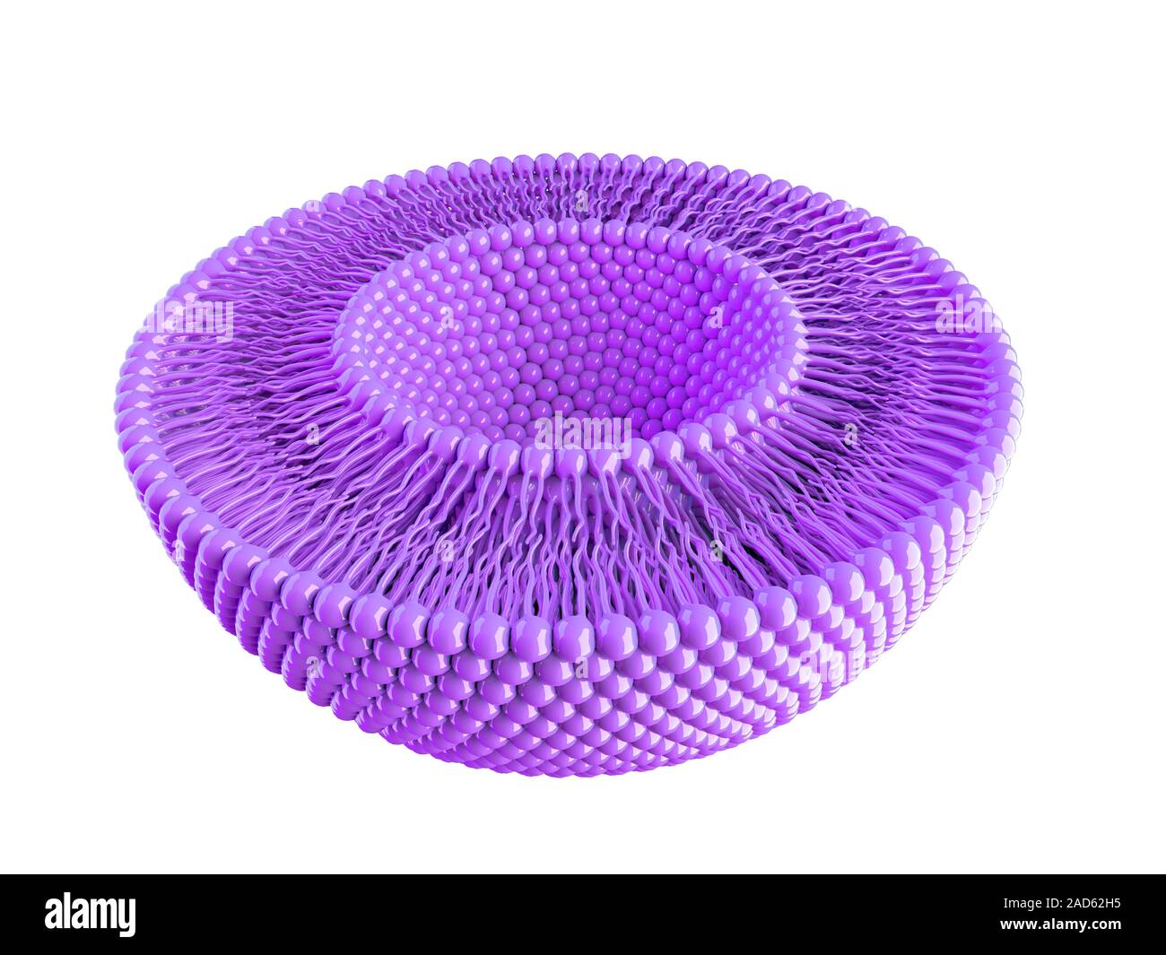 Liposome, cut-away illustration. This artificially-constructed ...