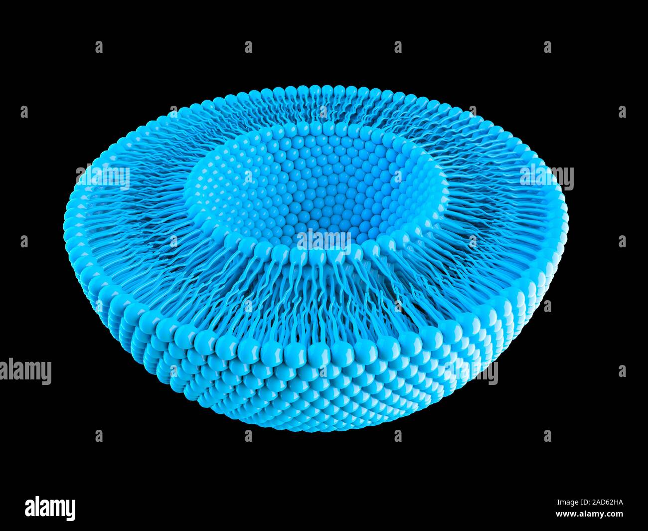 Liposome, cut-away illustration. This artificially-constructed ...