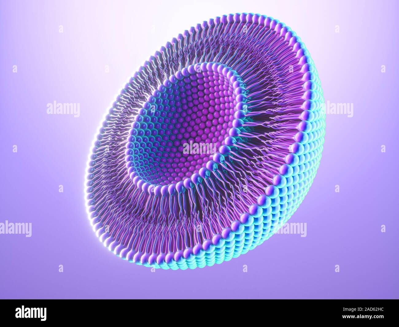 Liposome, cut-away illustration. This artificially-constructed ...