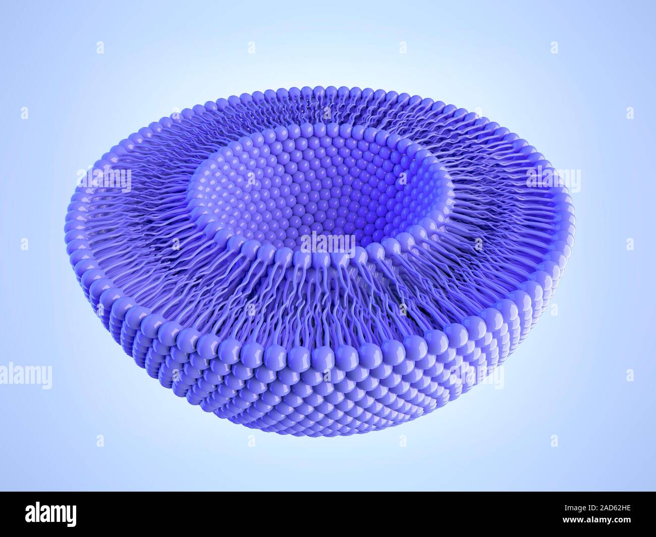Liposome, cut-away illustration. This artificially-constructed ...