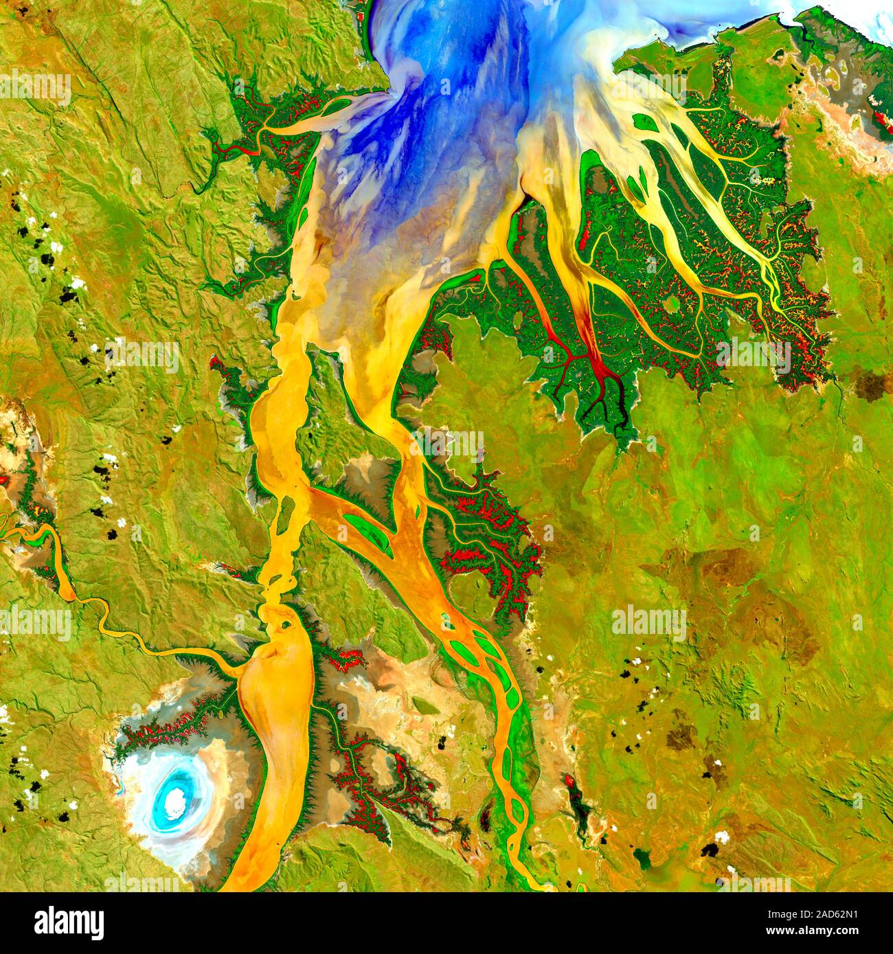 Ord River estuary, satellite image. Mangroves (dark green) grow along ...