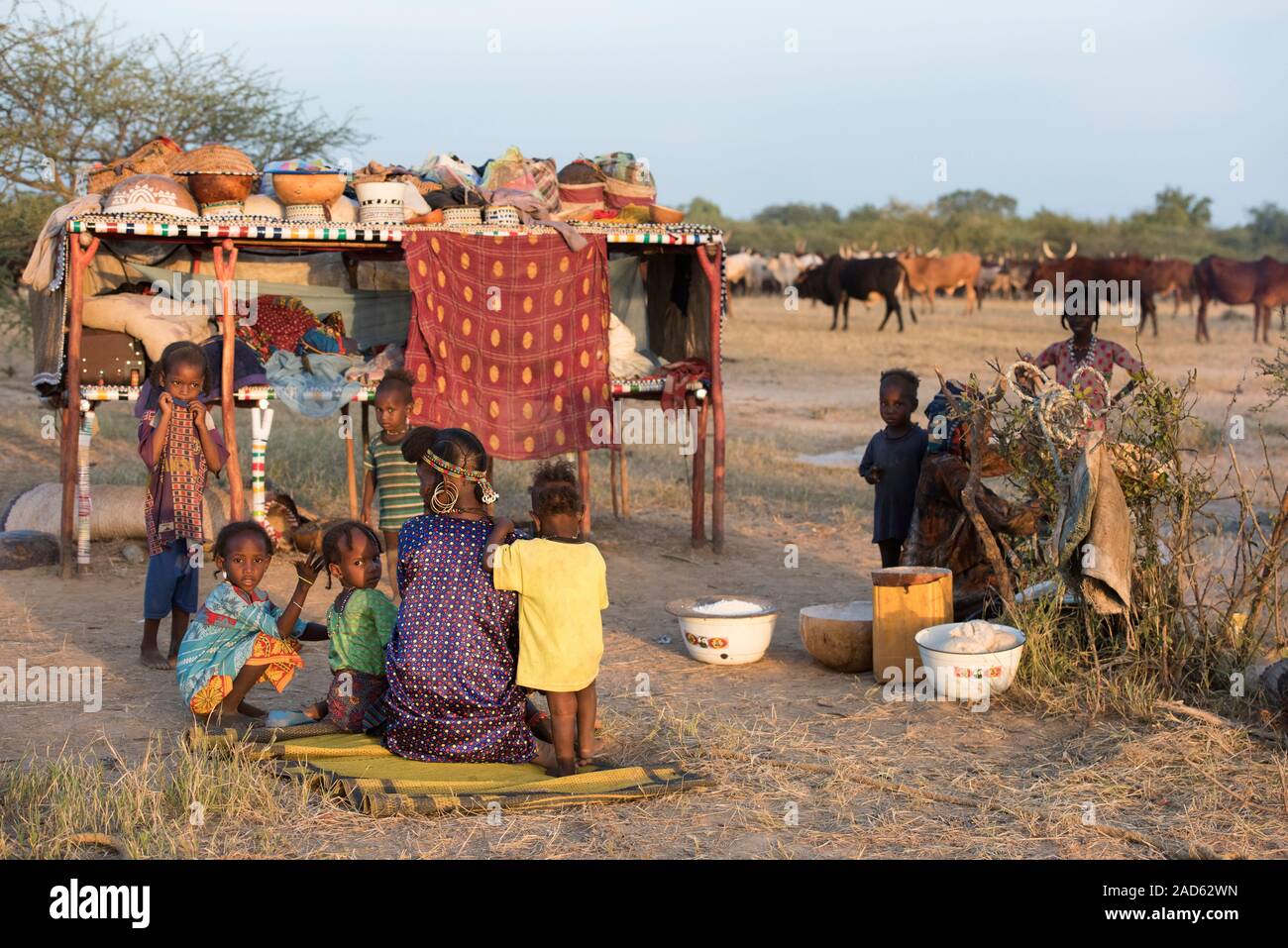 The Wodaabe people are nomadic cattle-herders who migrate through the ...