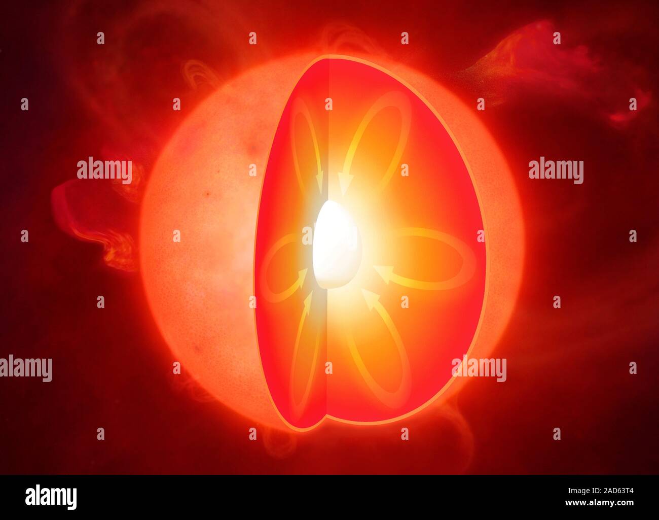 Interior of a red dwarf star, artwork. Red dwarves, such as Proxima ...