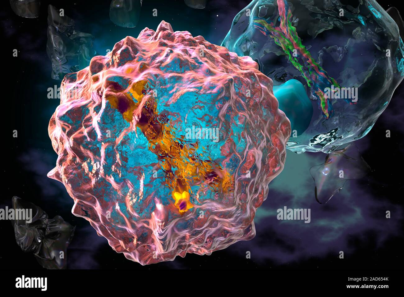 Chromosome inside a cell, illustration. Chromosomes are X-shaped ...