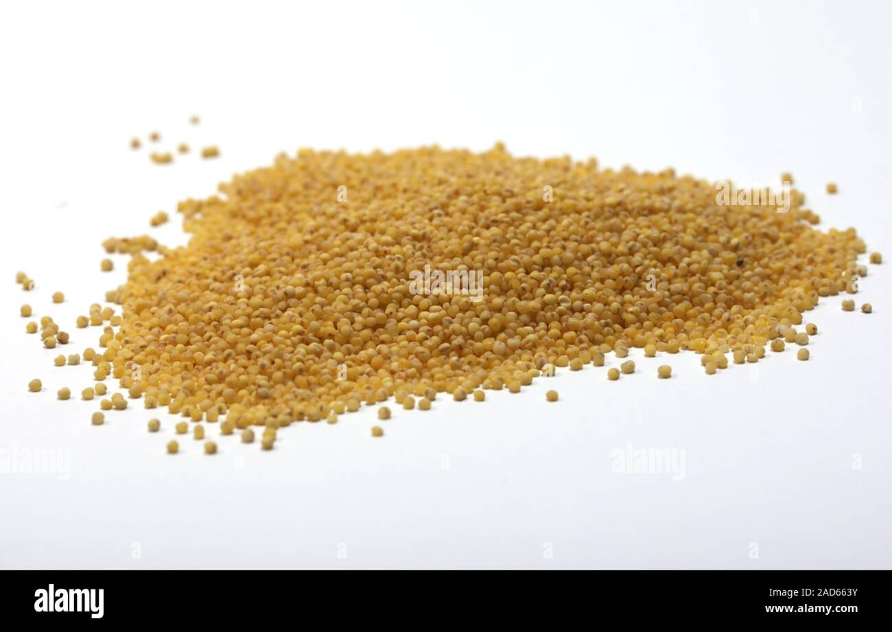 Millet cereal food grains healthy Stock Photo - Alamy