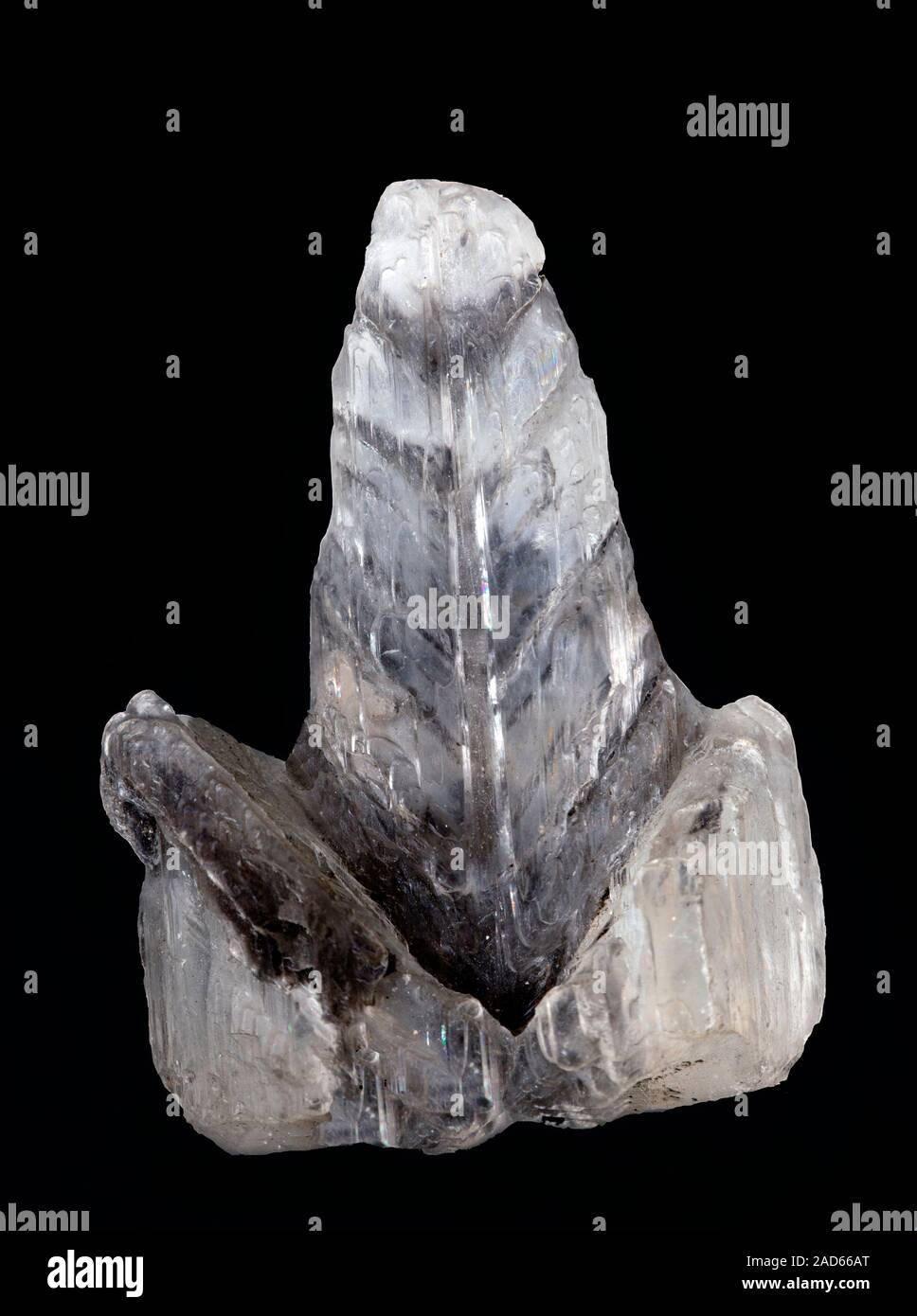 Crystal twinning of gypsum here brings about a pattern of bilateral ...