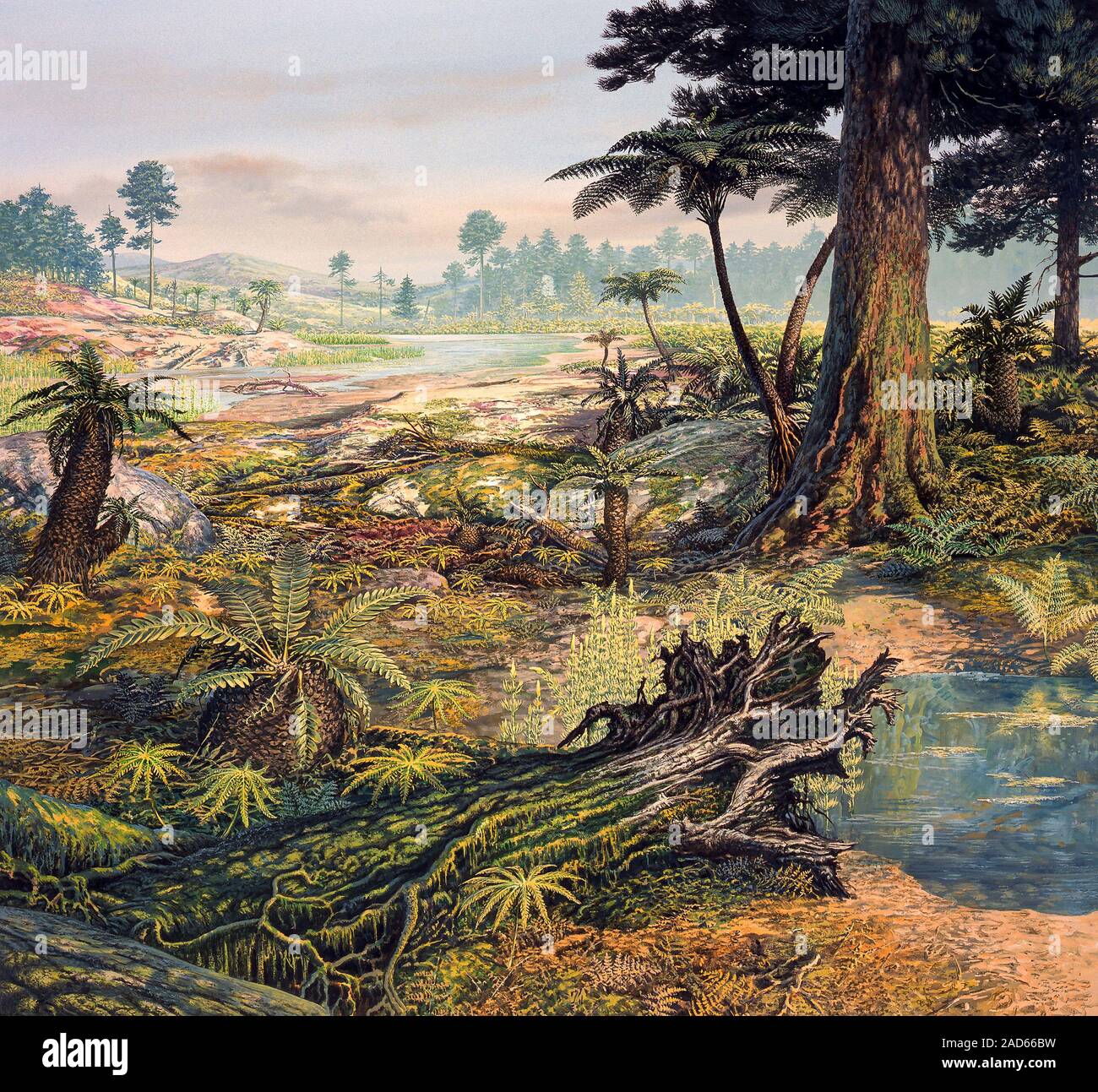 Jurassic landscape. Illustration of typical plants and trees in and ...