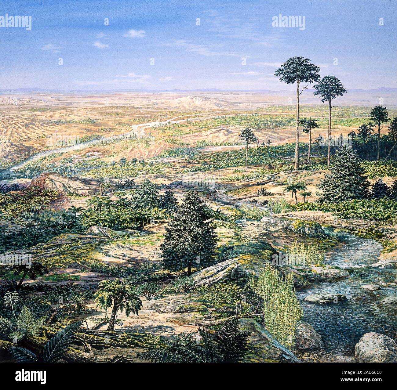 Late Triassic landscape. Illustration of typical plants and trees ...