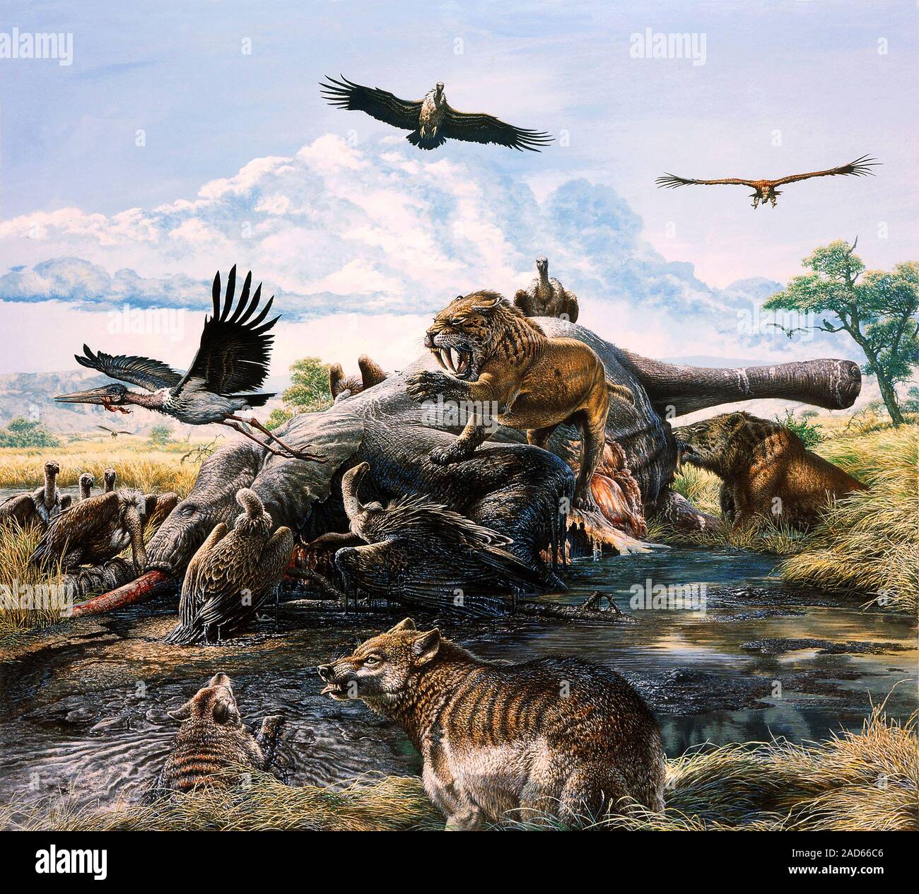 La Brea Tar Pits. Illustration of prehistoric animals becoming trapped ...