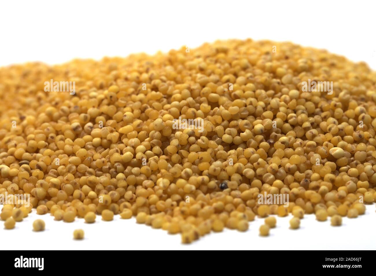 Millet cereal food grains healthy Stock Photo - Alamy