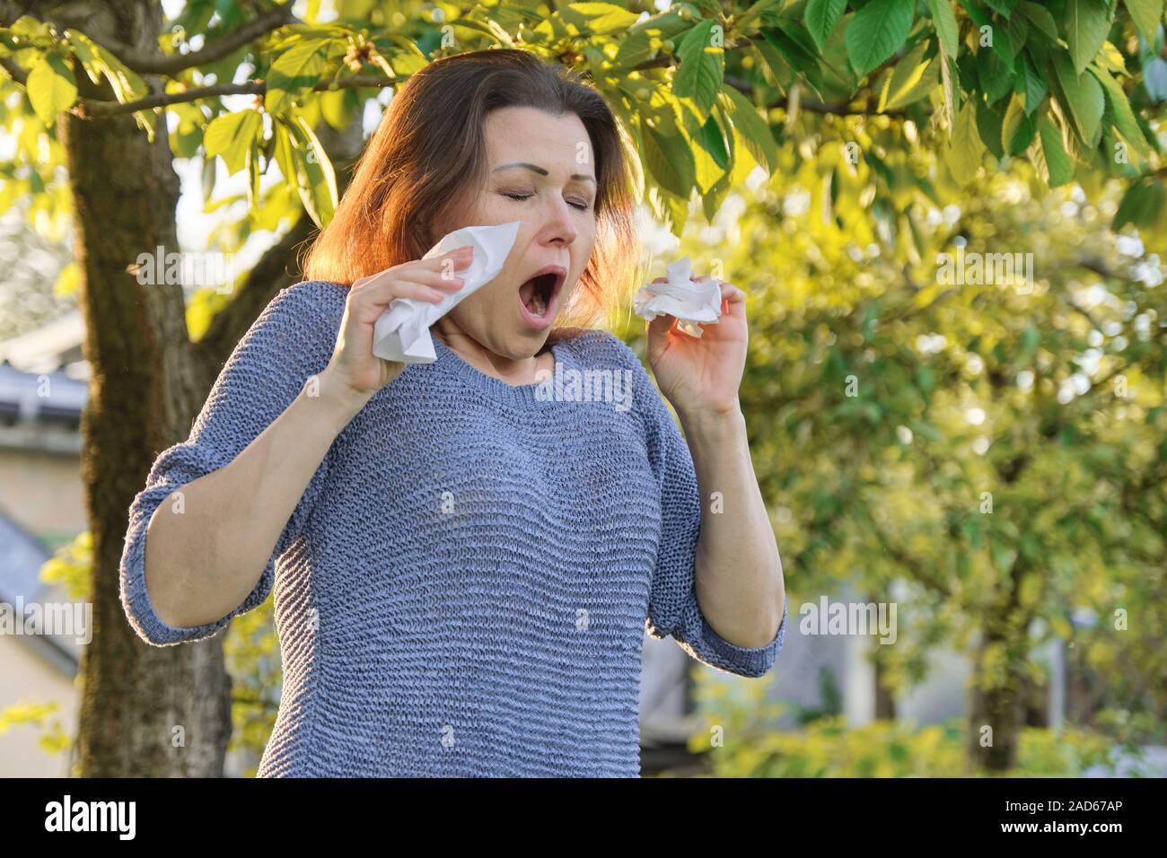 Mature woman sneezing in handkerchief, allergy to pollen, colds Stock ...