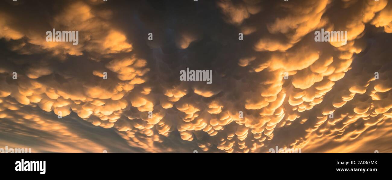 Panorama of colorful mammatus clouds at the back of severe thunderstorm ...