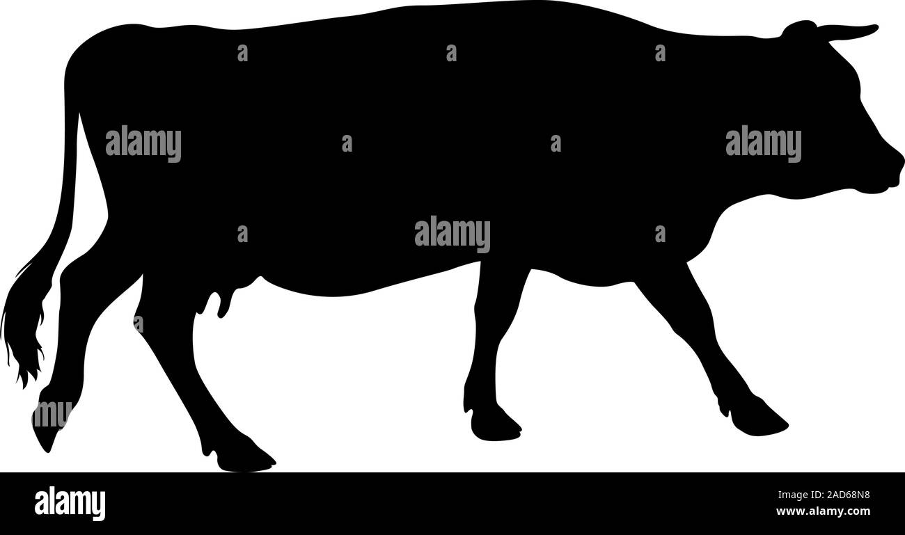 Black silhouette of cash cow on white background Stock Vector Image ...