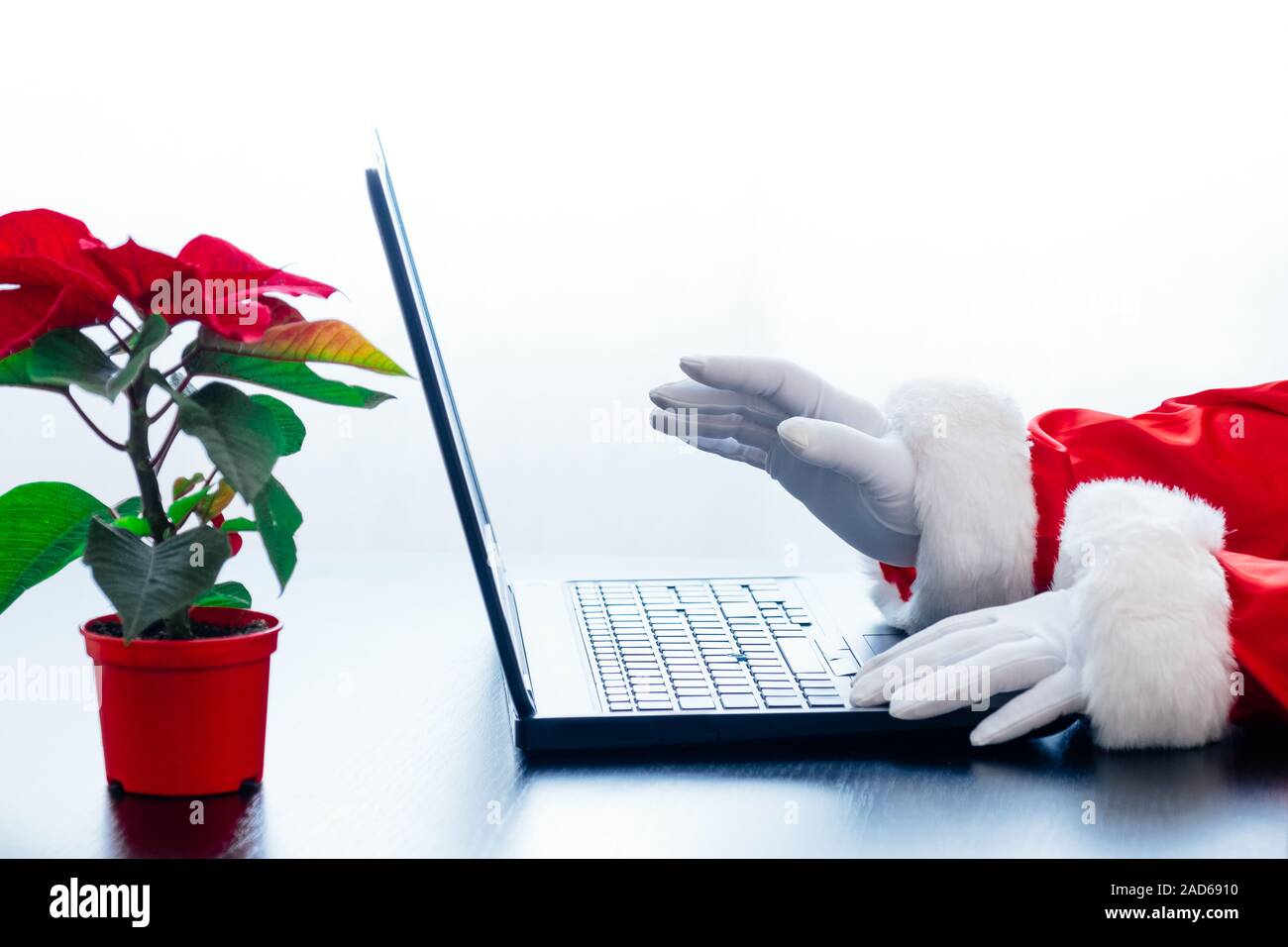Santa Claus using laptop on the white background with red poinsettia ...
