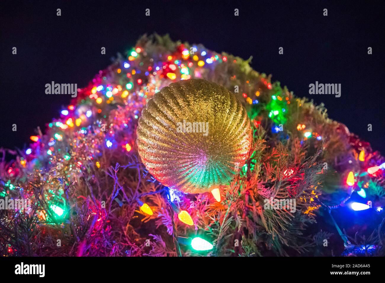 Christmas celebration and tree lighting event in a small town Stock ...