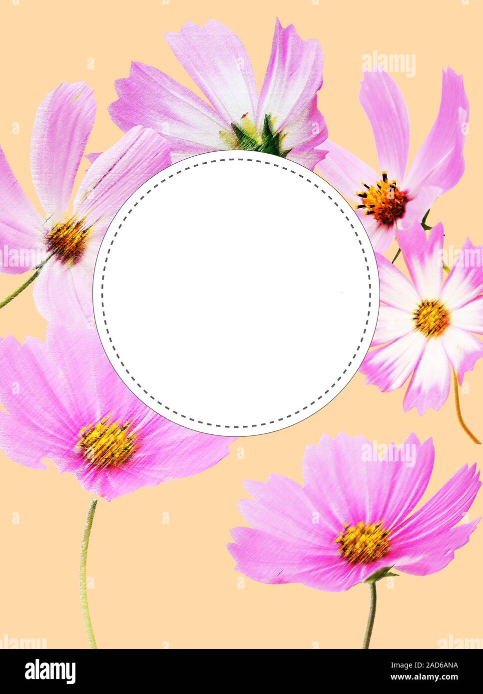 Pink floral round label space for write to use Stock Photo - Alamy