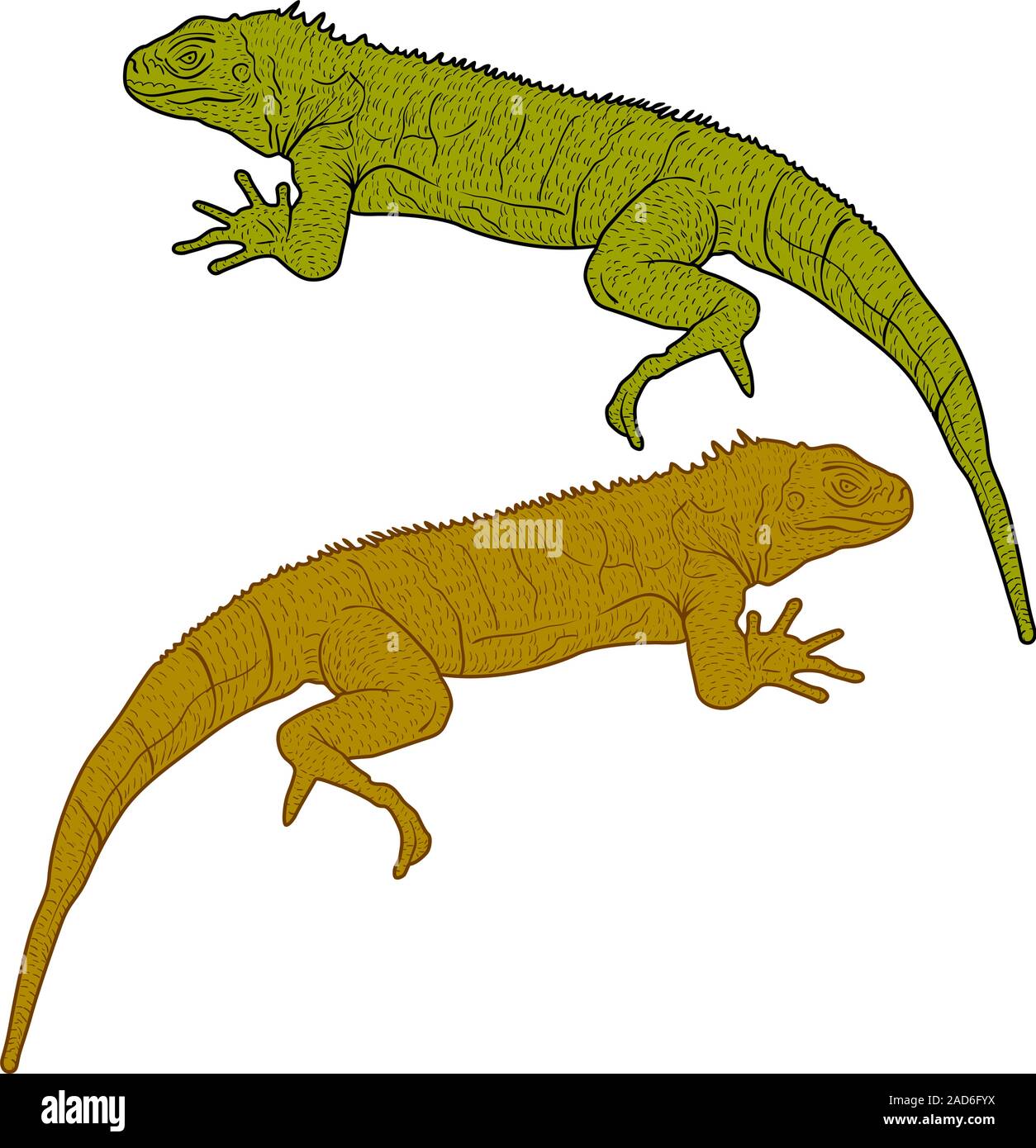 Goanna Stock Vector Images - Alamy