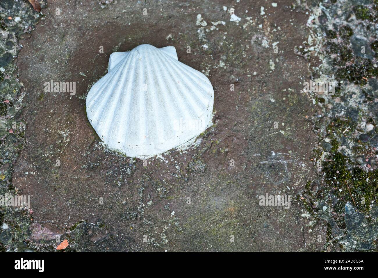Scallop as a sign for the Way of St James Stock Photo - Alamy
