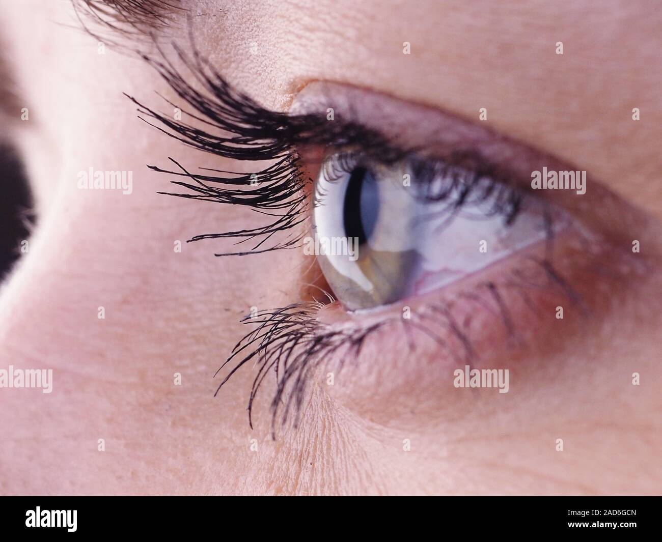 beautiful female eye close up, looks away, vision correction concept ...