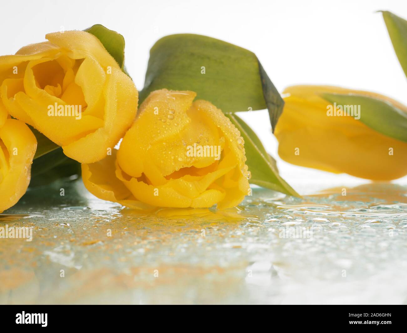 Ready made design hi-res stock photography and images - Alamy