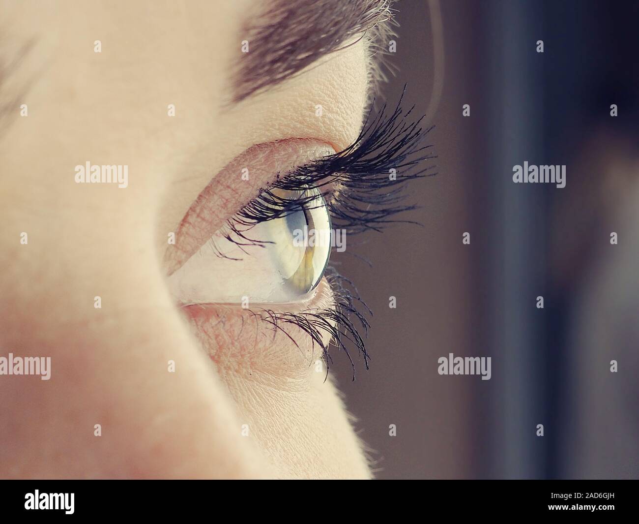 beautiful female eye close up, looks away, vision correction concept ...