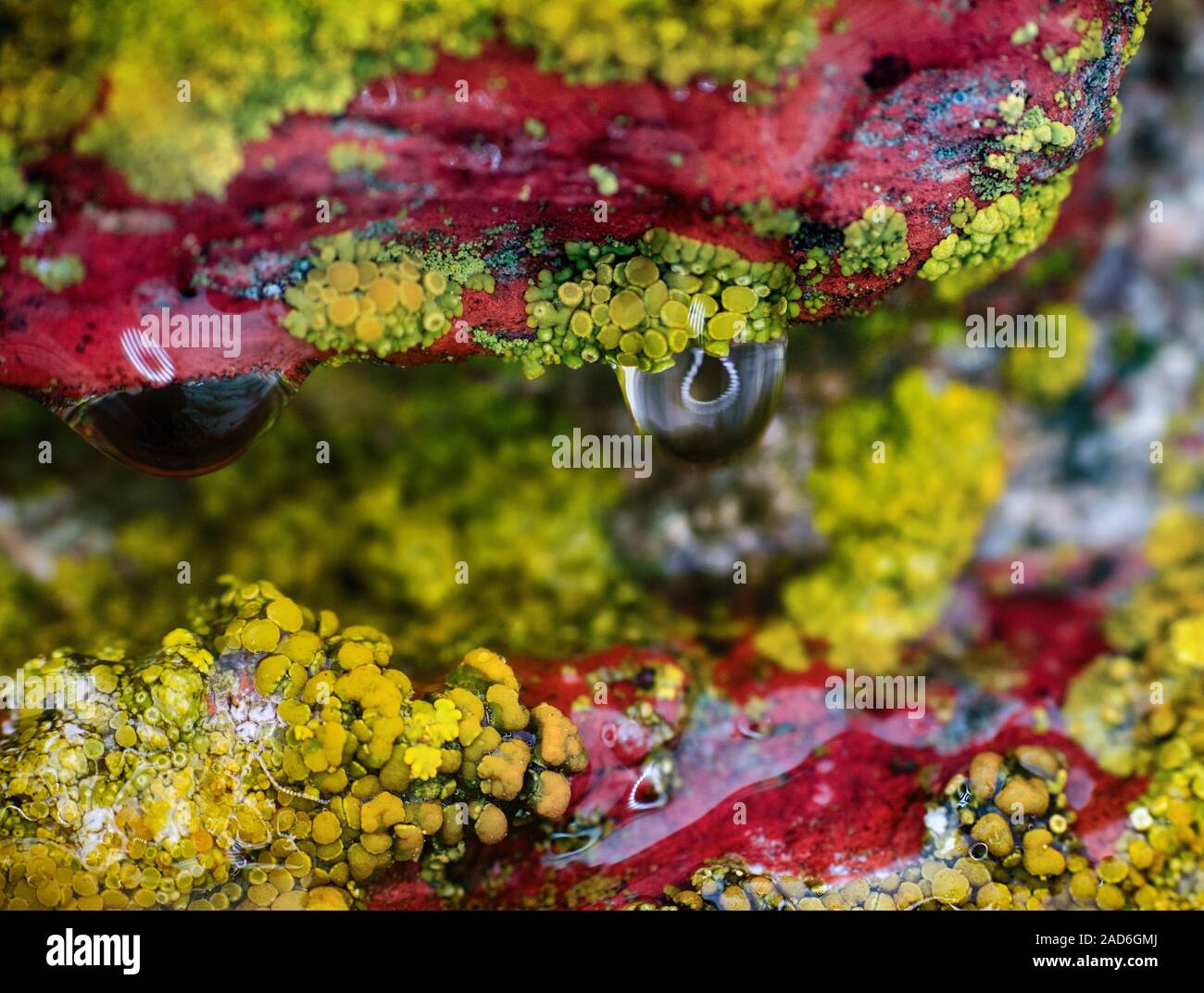 Hard Edge Photography